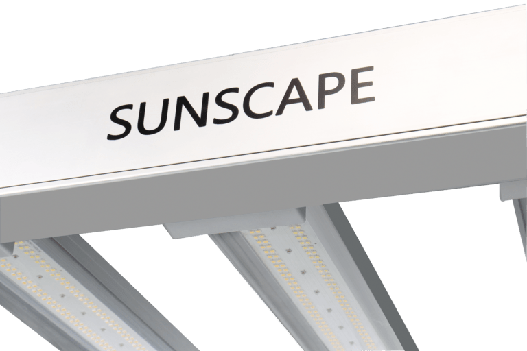 SUNSCAPE LED | Harvesting Brilliance with Innovative LED Solutions